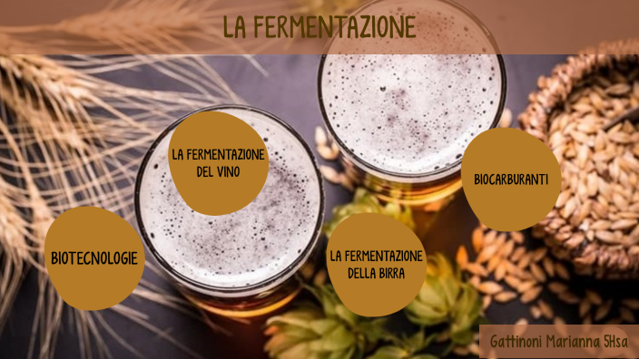 LA FERMENTAZIONE E LE BIOTECNOLOGIE by Marianna Gattinoni on Prezi