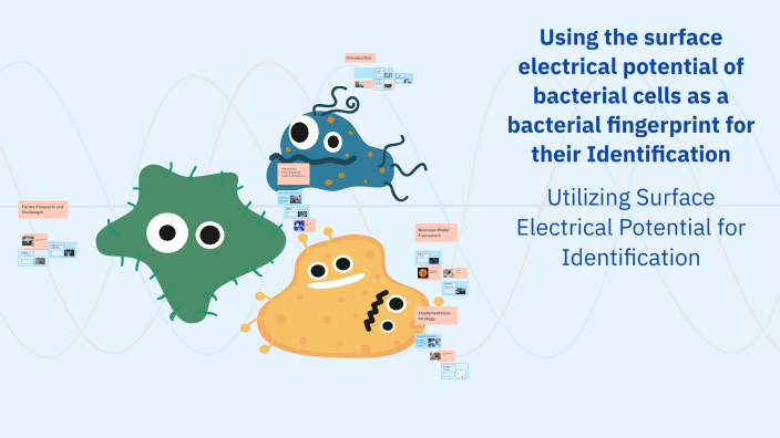 Bacterial Fingerprinting Technology by Malak Ahmed on Prezi