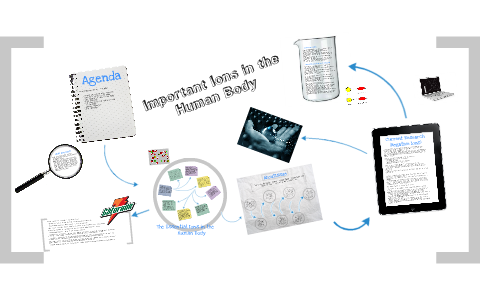 Important Ions in the Human Body by Jacob Denomy on Prezi