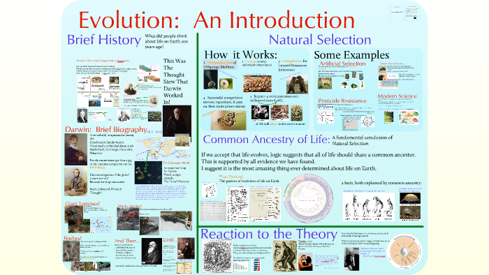 AP Bio- Introduction to Evolution and Natural Selection by Julie Paoli ...
