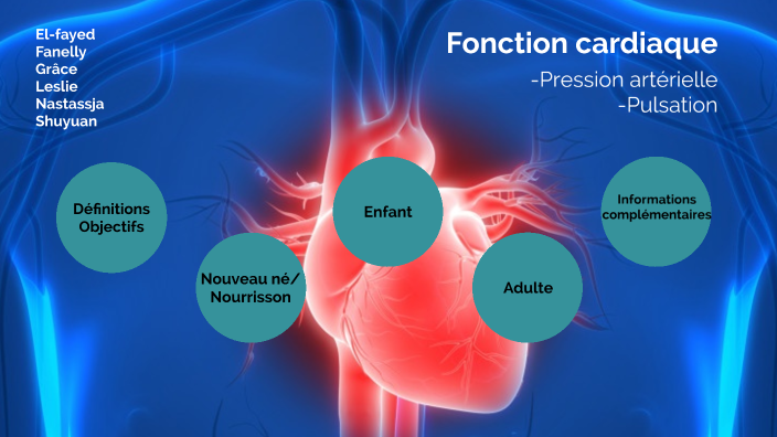 Fonction cardiaque by leslie-anaïs clinchamps on Prezi