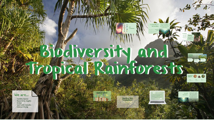 Biodiversity in Tropical Rainforests by Vanessa Cheang on Prezi