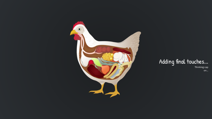 Winter Management in Poultry: Excretory System of Birds by Fidha Faseen ...