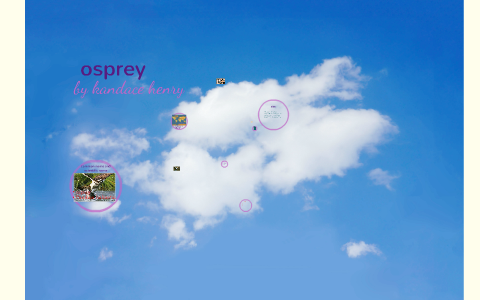 Wildlife profile by Kandace Henry on Prezi