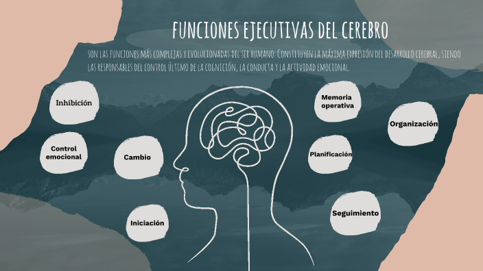 funciones ejecutivas del cerebro by Yajaira Toloza on Prezi
