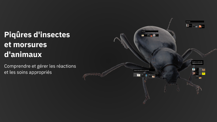 Piqûres d'insectes et morsures d'animaux by Djamila Eva on Prezi