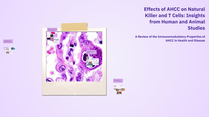 Effects of AHCC on Natural Killer and T Cells: Insights from Human and ...