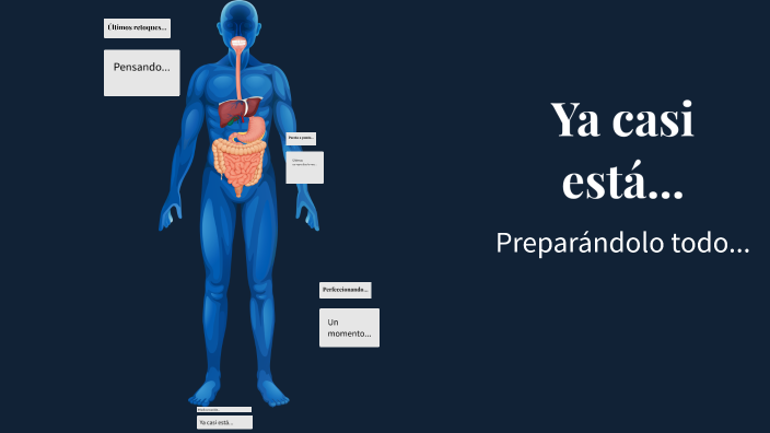 Infografía del Sistema Excretorio by Andrea Valladares on Prezi