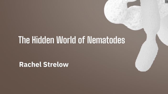 The Hidden World of Nematodes by Rachel M Strelow on Prezi