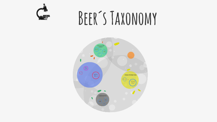 Beer´s Taxonomy by Estefanía Hermandez Nabor on Prezi