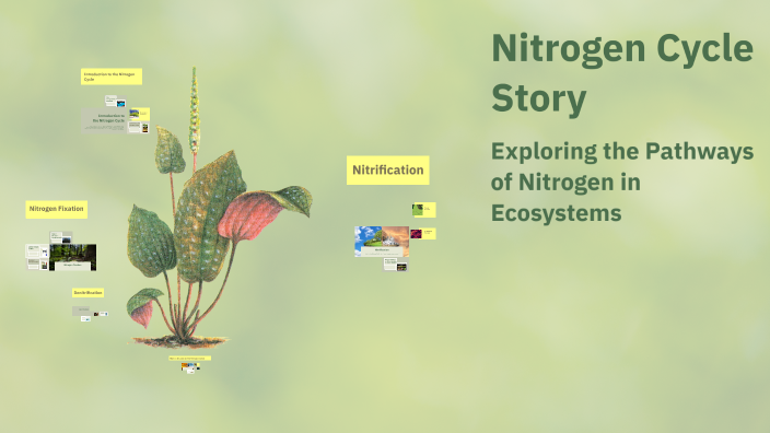 Nitrogen Cycle Story by Ariana Kaufman on Prezi