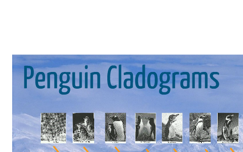 Penguin Cladograms by Lili Mo on Prezi