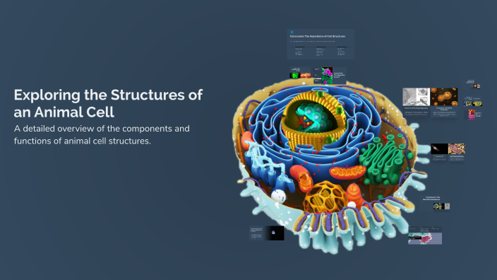 Exploring the Structures of an Animal Cell by Academic Coordinator CSE ...