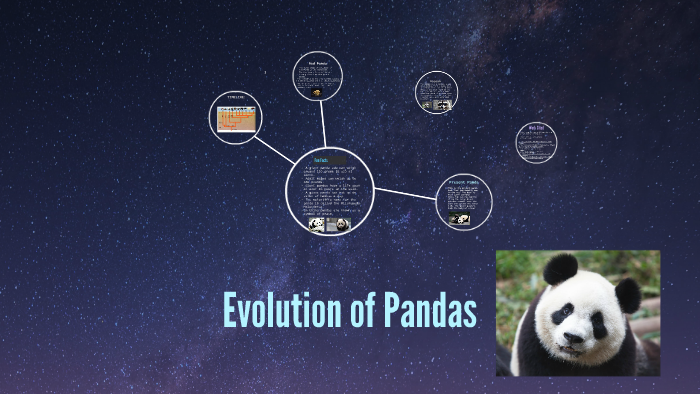 Evolution of Pandas by panda bear on Prezi
