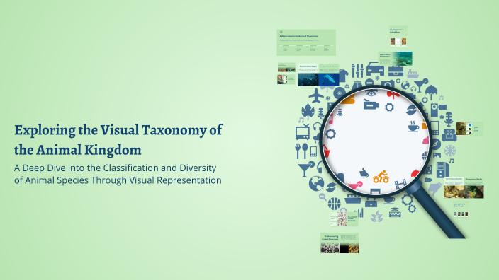 Exploring the Visual Taxonomy of the Animal Kingdom by Oliver Lunding ...