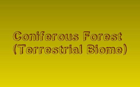 Coniferous forest by Joe Sirois on Prezi
