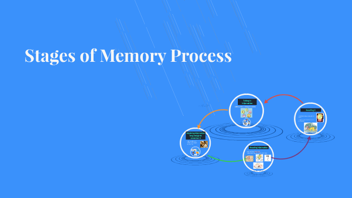 Stages of Memory Process by esra kızıldere on Prezi