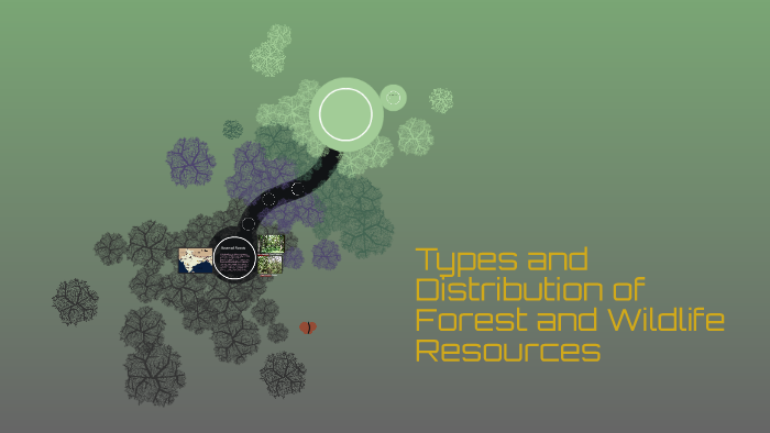 Types and Distribution of Forest and Wildlife Resources by Feba Annie ...