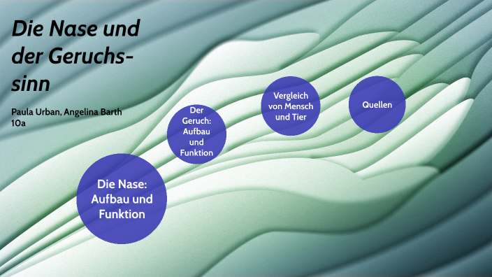Die Nase und der Geruchssinn by Amelie Blank on Prezi