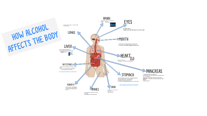 Alcohol and the body by Rachel Sturm on Prezi