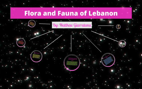 Flora and Fauna of Lebanon by Matthew Giarratana on Prezi