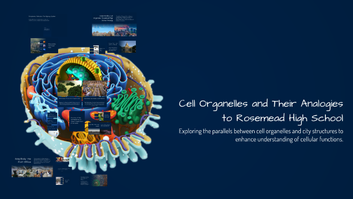 Cell Organelles and Their City Analogies by Brian Dickie on Prezi