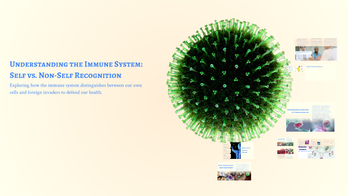 Understanding the Immune System: Self vs. Non-Self Recognition by Lara ...