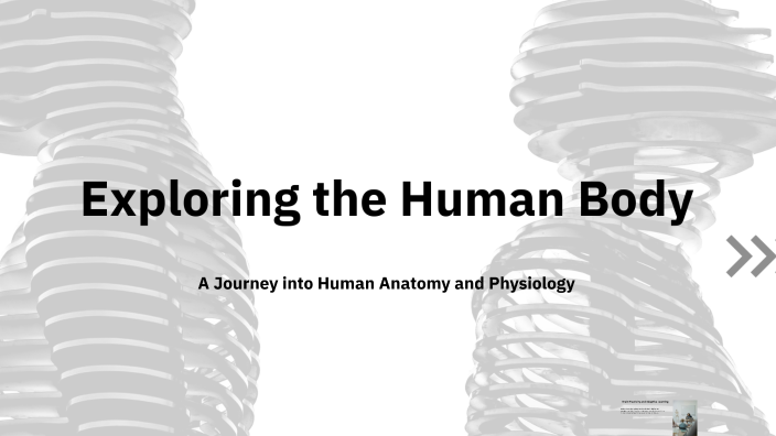 Exploring the Human Body by Tim Bijl on Prezi