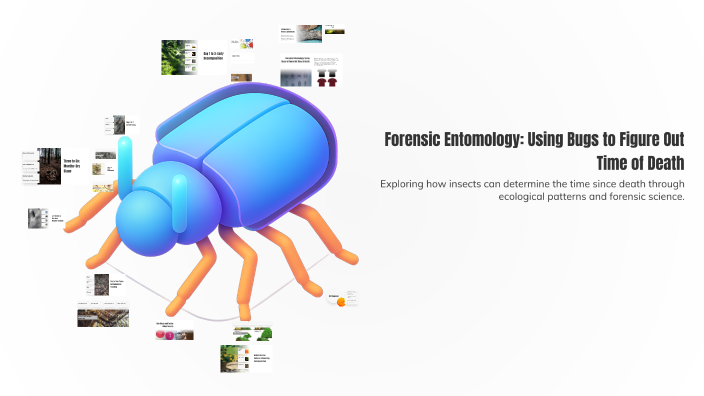 Forensic Entomology: Using Bugs to Figure Out Time of Death by Raf ...