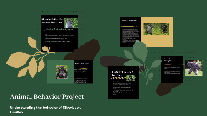 Animal Behavior Project by Cade Bagley on Prezi