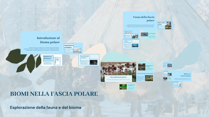 BIOMI NELLA FASCIA POLARE by PASQUALE ACCETTA on Prezi