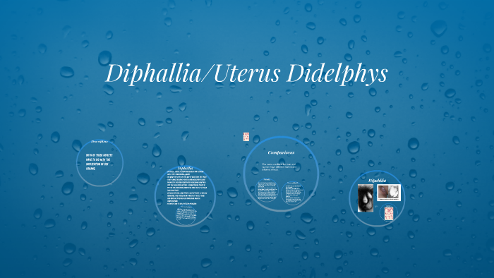 Diphallia and Uterus Didelphys by jasmine brown on Prezi