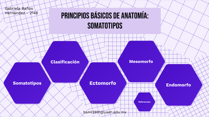 Principios básicos de anatomía: Somatotipos by gabriela bh on Prezi