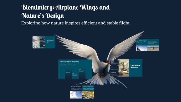 Biomimicry: Airplane Wings and Nature’s Design by Jayden Ghiyam on Prezi