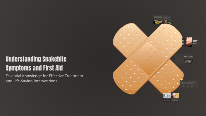 Understanding Snakebite Symptoms and First Aid by jojo koko on Prezi
