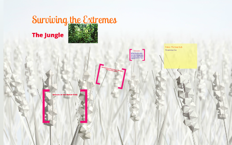 Surviving the Extremes - The Jungle by Nhi Truong on Prezi