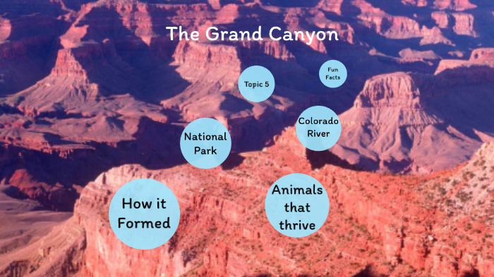 The Grand Canyon by Emily Trautman on Prezi