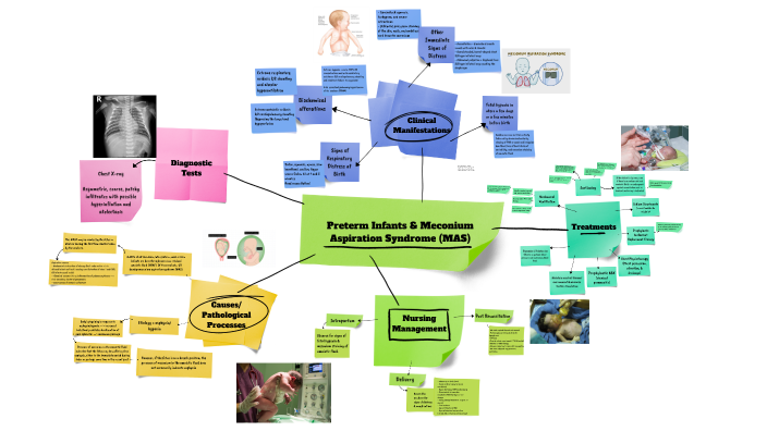 Jenny Kang MAS OB Concept Map by Jenny Kang on Prezi