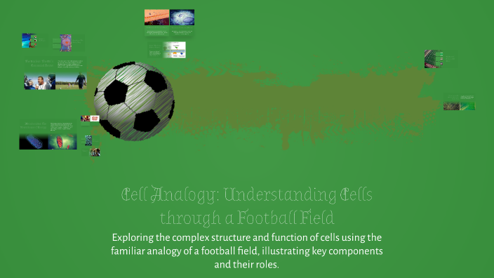 Cell Analogy: Understanding Cells through a Football Field by Mario ...