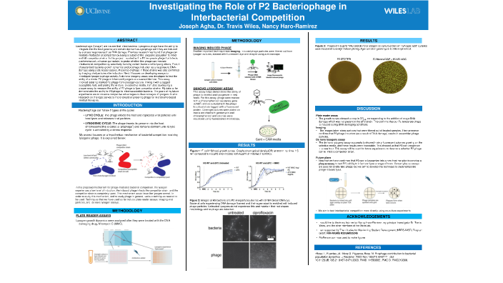 UROP Poster Lab Meeting by on Prezi
