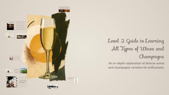 Level 2 Guide to Learning All Types of Wines and Champagne by kevin ...