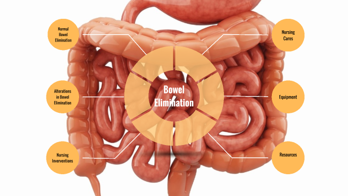 Bowel Elimination by Kally W on Prezi