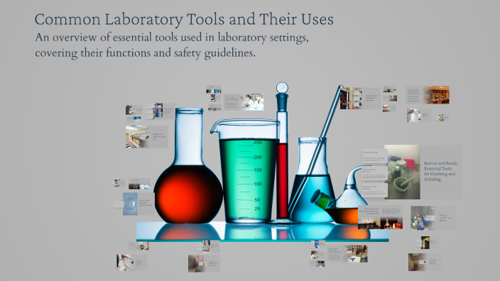 Common Laboratory Tools and Their Uses by Ali Ghorayeb on Prezi