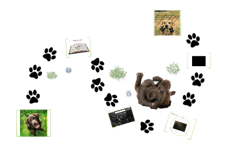 A Dark Brown Dog By: Stephen Crane by Bruno Machado on Prezi