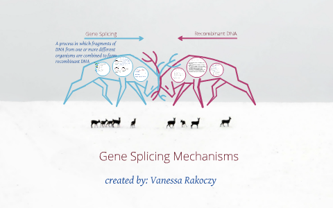 Gene Splicing and Hybrid Animals by Vanessa Rakoczy on Prezi