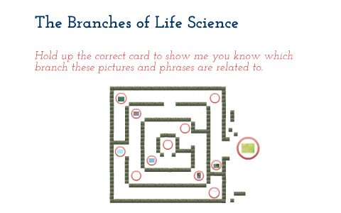 Life Science Branches by Stephanie Magin on Prezi