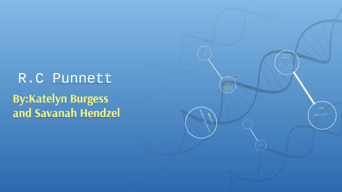 R.C Punnet by Savanah Hendzel on Prezi