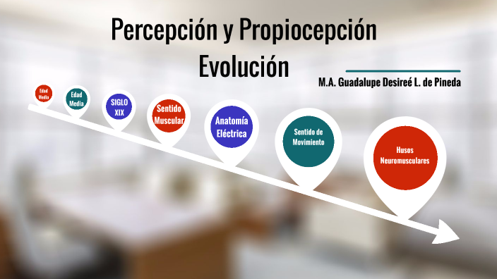 Percepción y Propiocepción by Desiree Lopez de Pineda on Prezi
