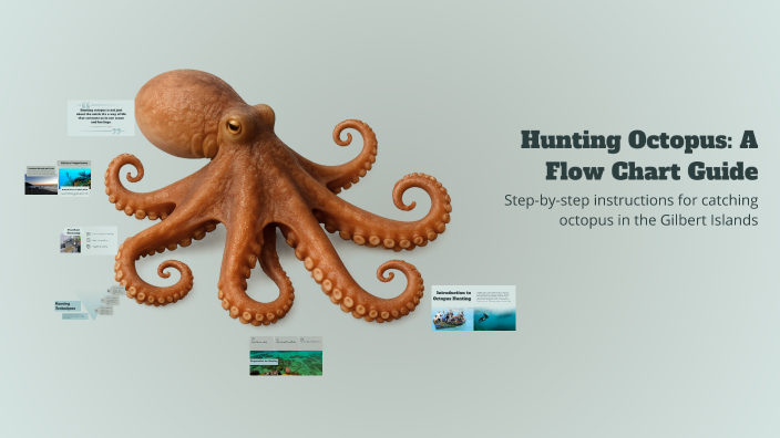 Hunting Octopus: A Flow Chart Guide by Margaret Cahill on Prezi