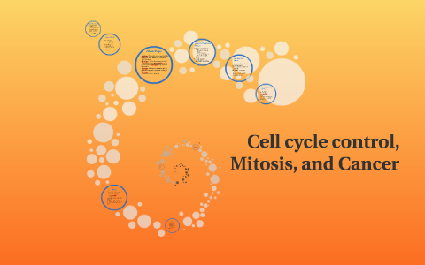 Cell cycle control, Mitosis, and Cancer by on Prezi